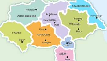 Consultation on Local Government Reorganisation - York CVS