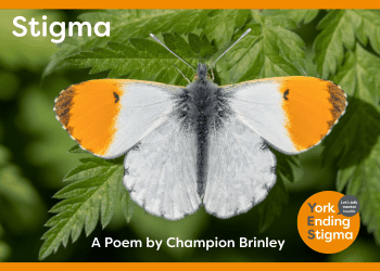 Stigma - A Poem by YES Champion Brinley - York CVS