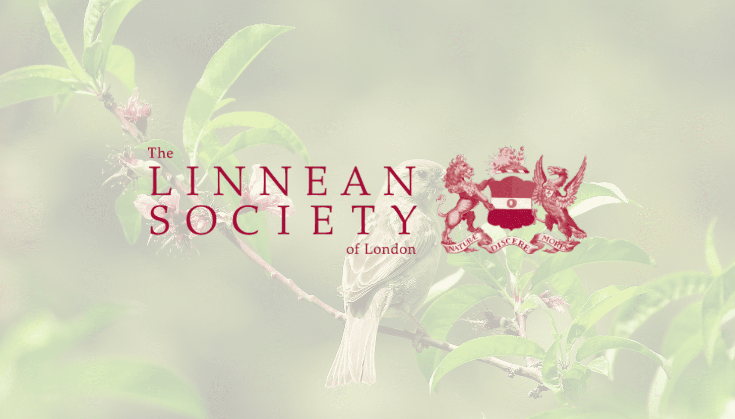 The Linnean Society - Closing date 22 October - York CVS