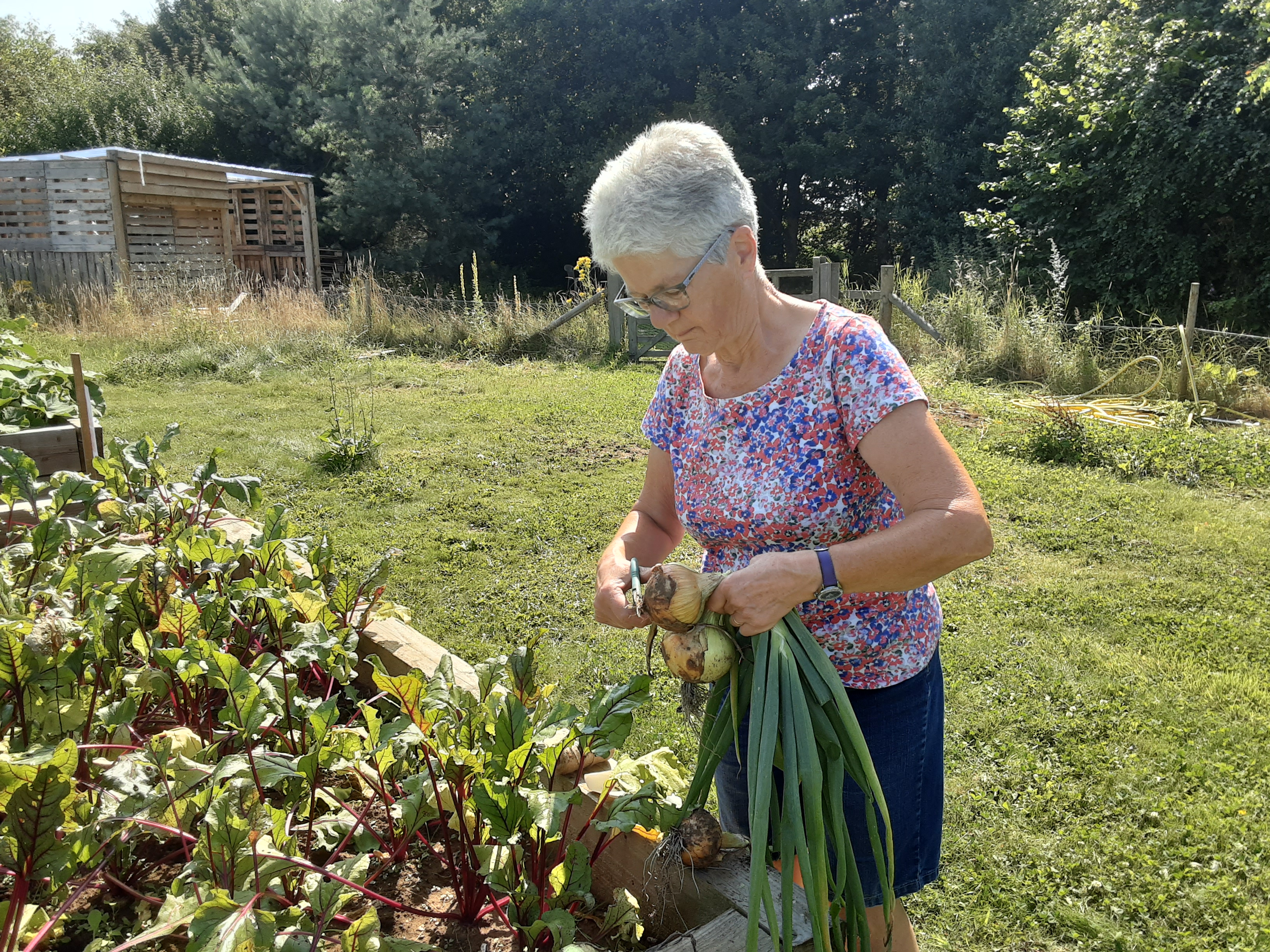 Foundation leads national charge in transforming mental health with ...