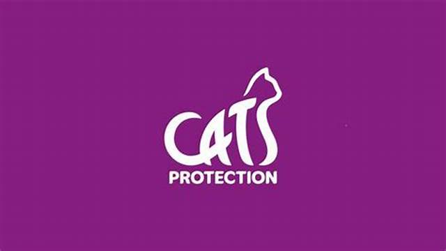 Volunteering Opportunities - York CVS